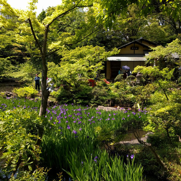 Nezu Museum - Meet The Cities